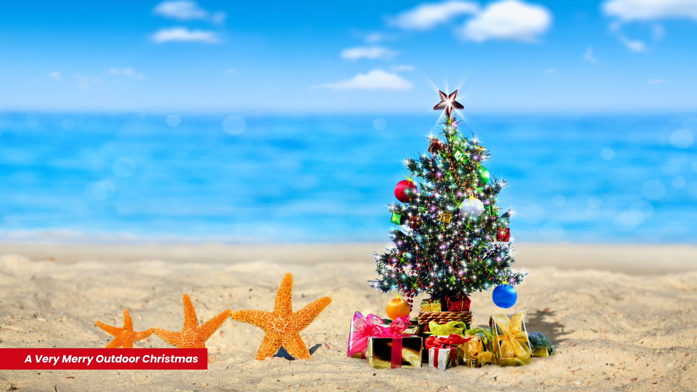 Outdoor Christmas BBQ Ideas: Celebrate With Style And Tradition – King ...