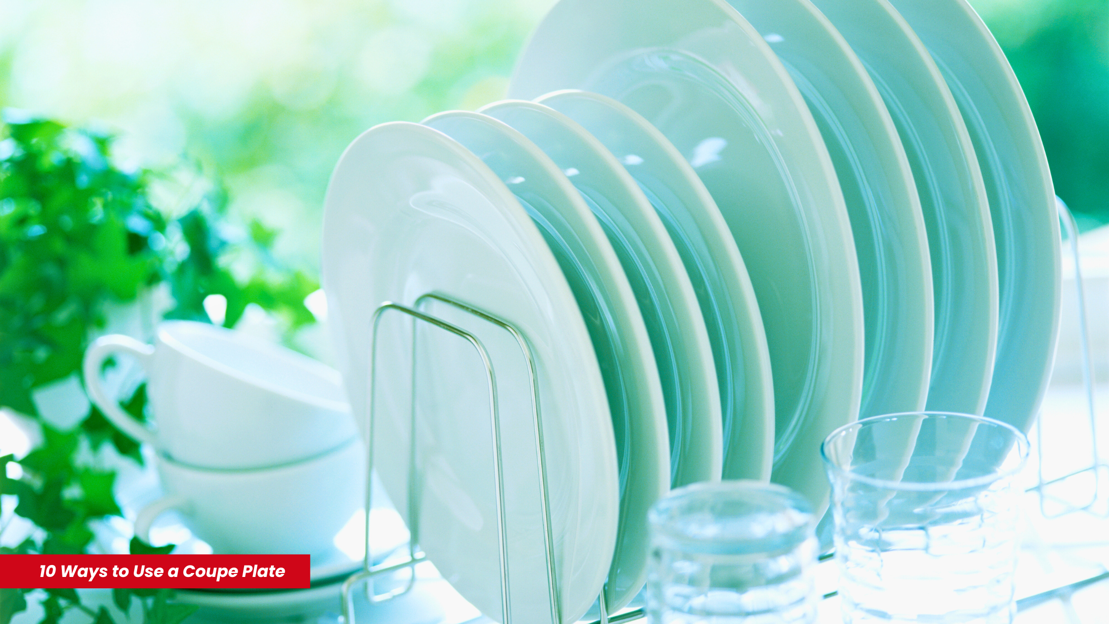 10 Ways To Use A Coupe Plate For Every And Special Meals – King of Knives